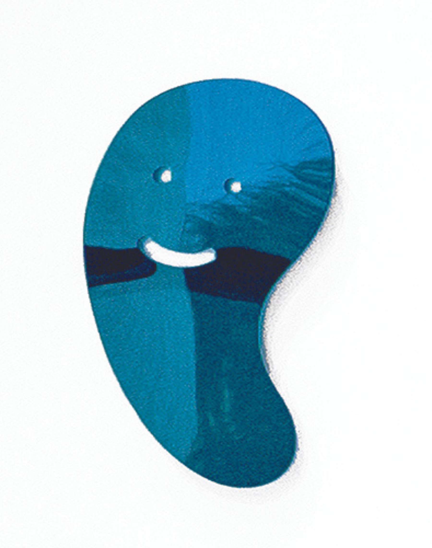 Kidney (1000 Blue) - Method & Concept